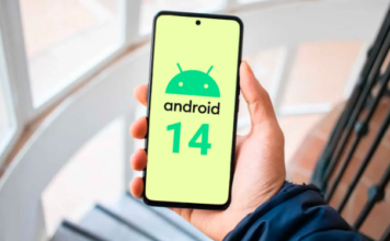 Google Released the First Public Beta Version of Android 14